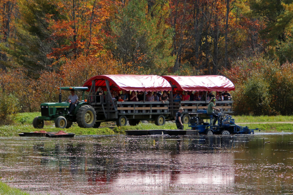 Tour Information - Muskoka Lakes Farm & Winery